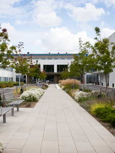 Mared EntryTech – Hem