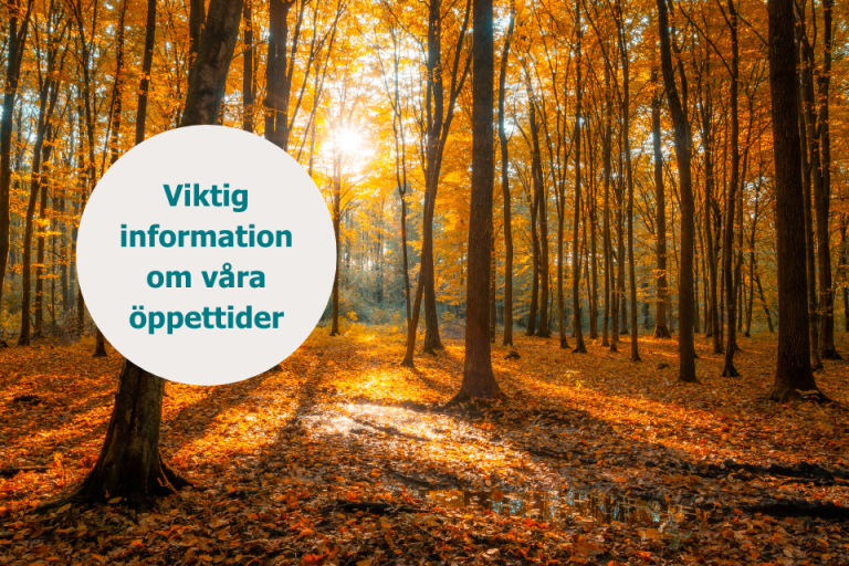 Mared EntryTech – Hem